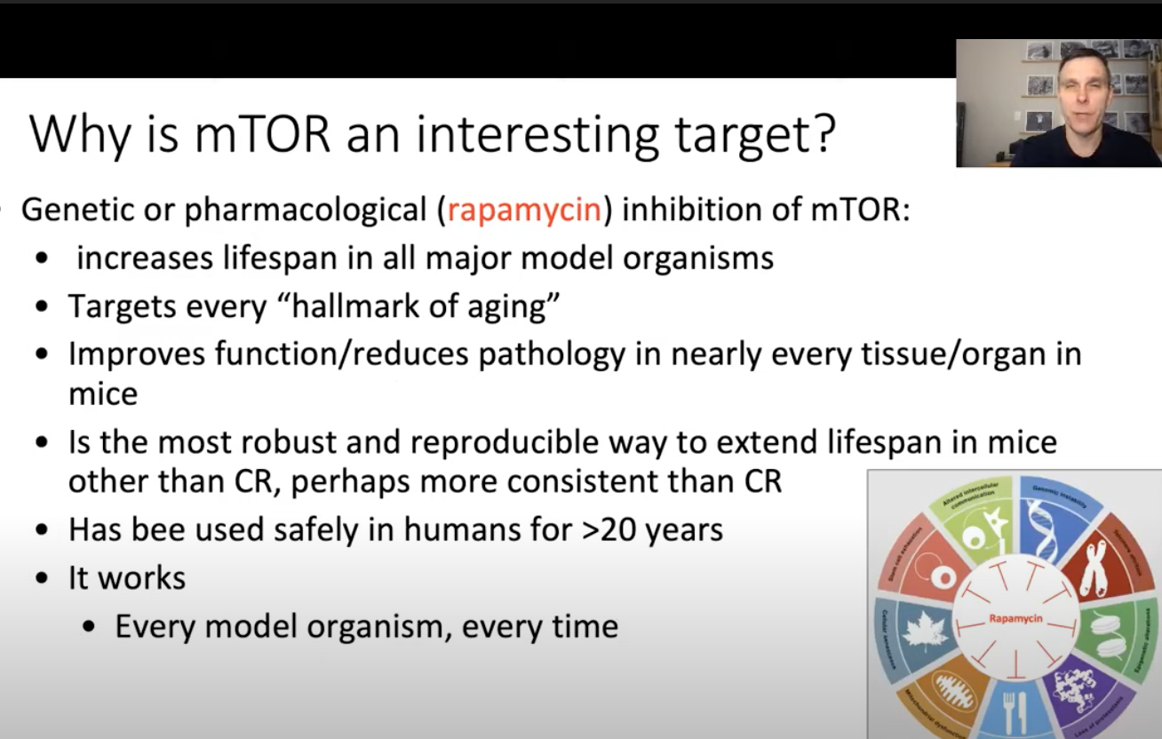 Understanding MTOR – LongevityBase